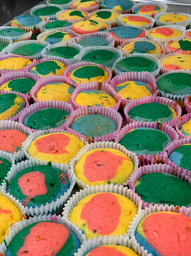 Friday Theme Preview - Color Day